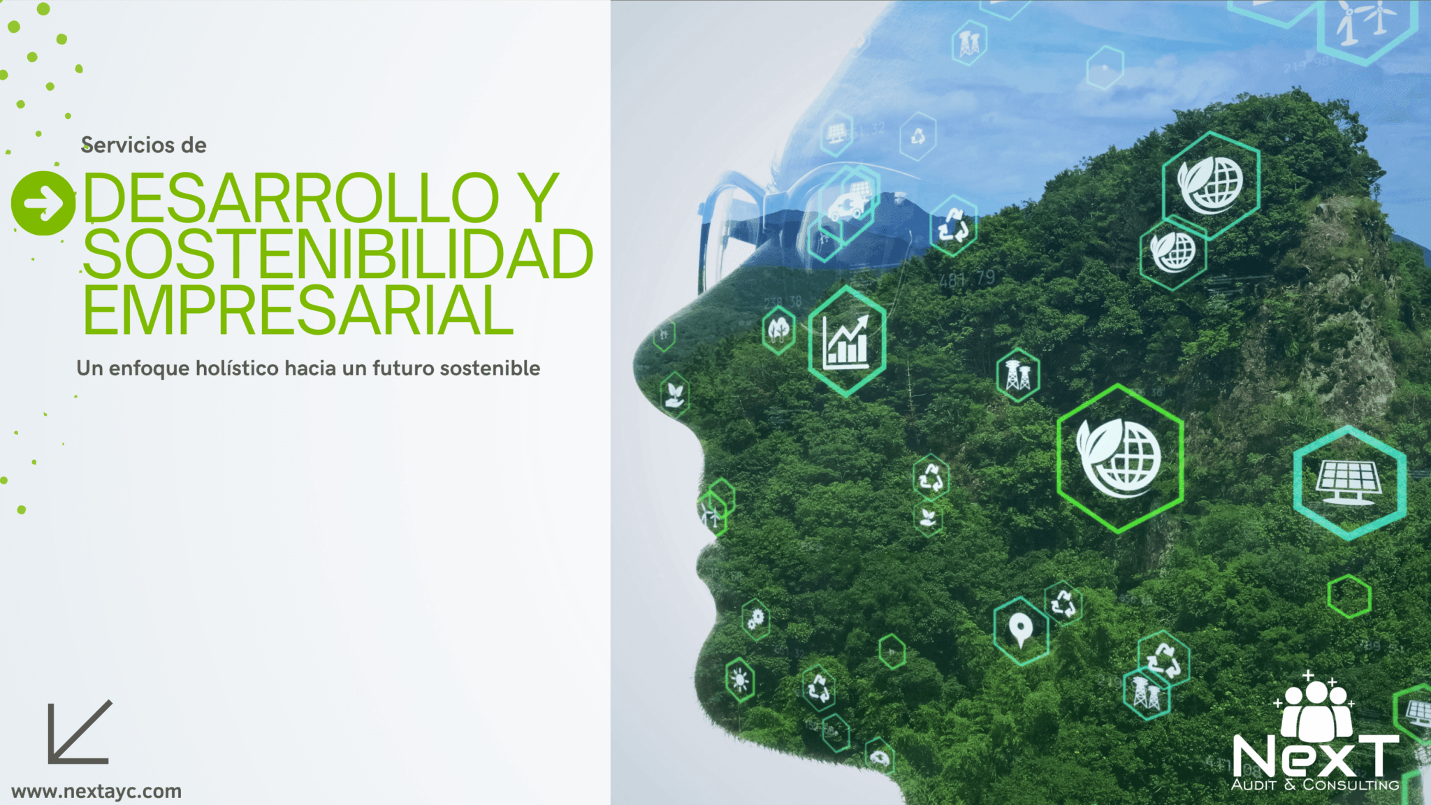 Estrategias de sostenibilidad para empresas que buscan liderar - Next Audit & Consulting